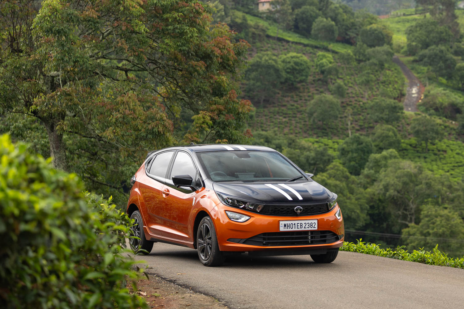 Tata Altroz Racer Price - Features, Images, Colours & Reviews