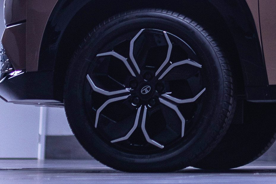Tata Curvv Exterior Design Explained In 7 Images | CarDekho.com