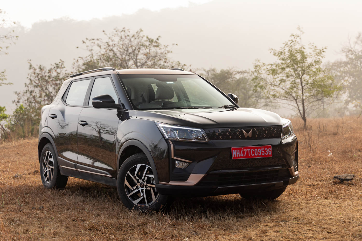 All Indian Cars Crash Tested By Global NCAP And Bharat NCAP: New Maruti ...