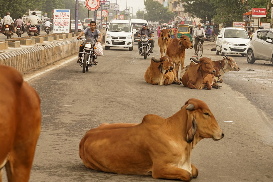 ADAS Full Form And Everything You Should Know About It | Editorials ...